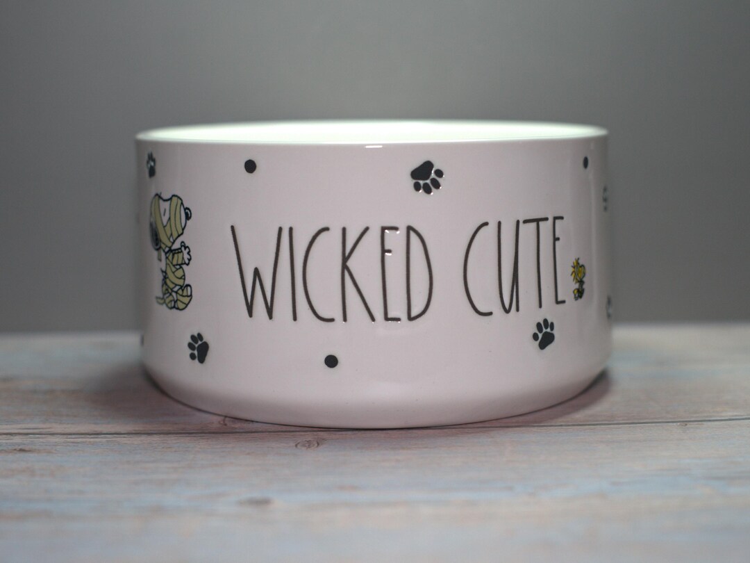 Peanuts X Rae Dunn Wicked Cute Pet Bowl Featuring Snoopy and Woodstock ...