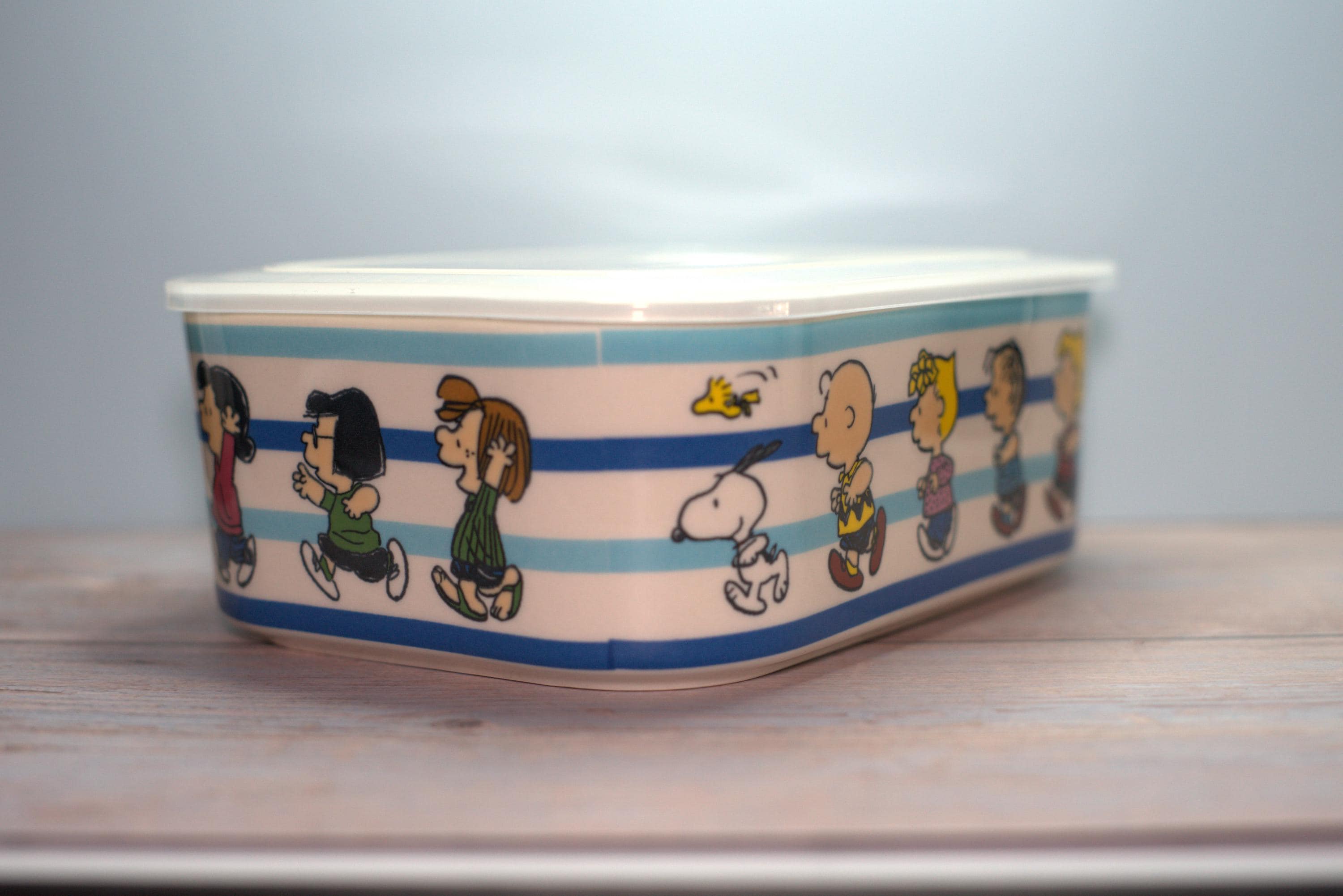 Peanuts Gibson Homewares Lunch Box With Vented Top - Etsy