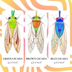 Cicada Stained Glass Window Hangings / Insect Custom Stained Glass ...