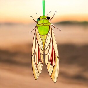 Cicada Stained Glass Window Hangings / House Warming Engagement Gift ...