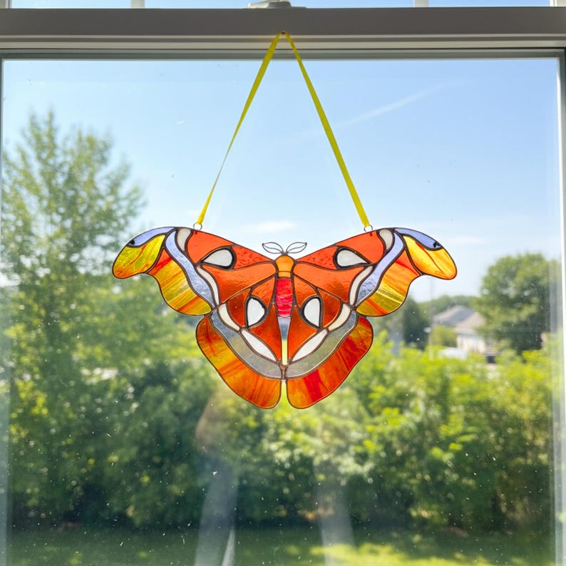 Atlas Moth Stained Glass Art Panel for Interior Window Dec - Etsy