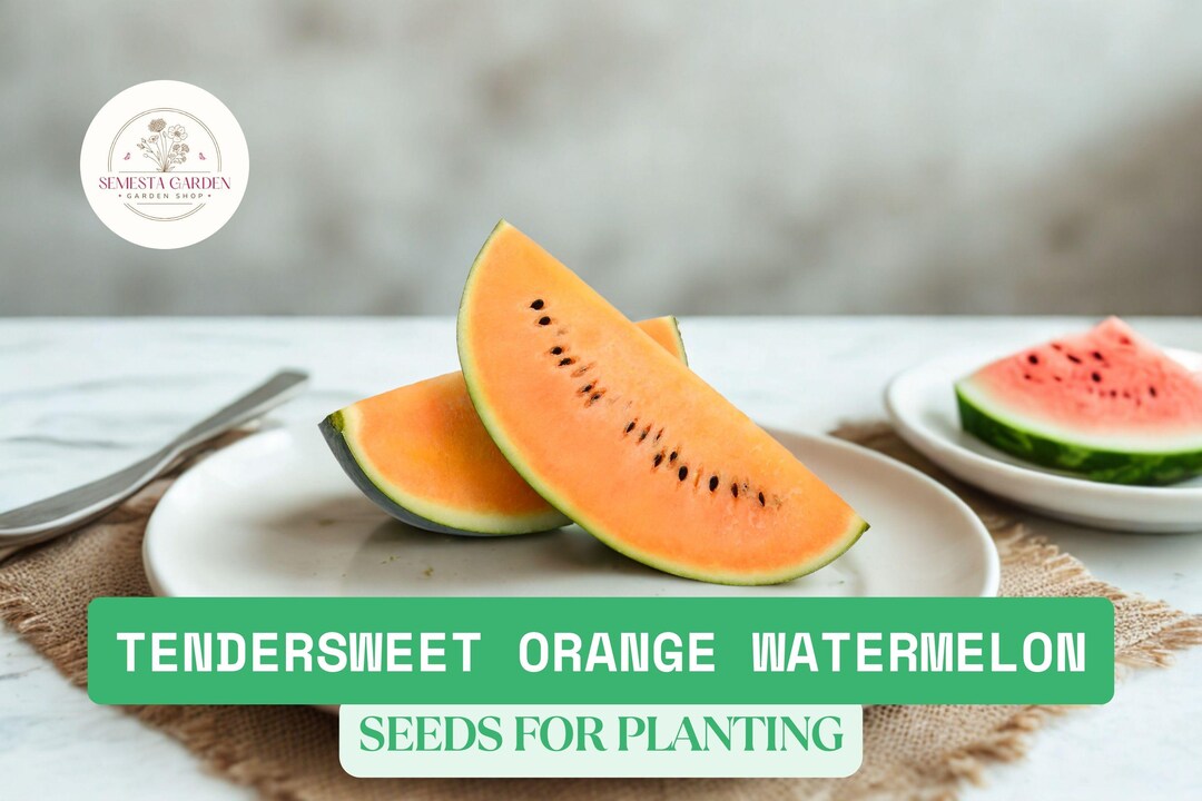 10 Tendersweet Orange Watermelon Seeds | Heirloom | NON-GMO | Very ...