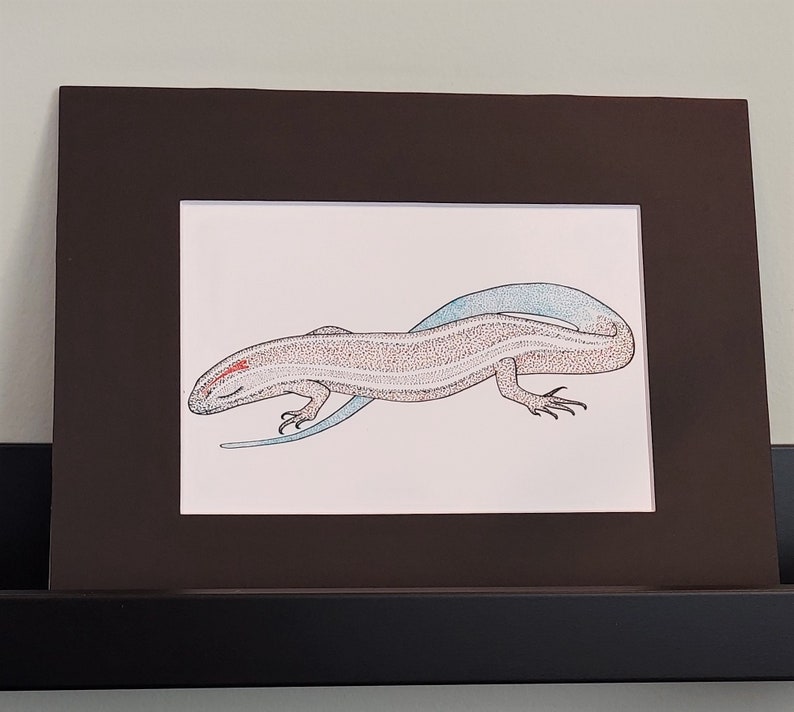 Blue Tailed Skink Peaceful Lizard 8x10" Matted Print, Lizard Art ...