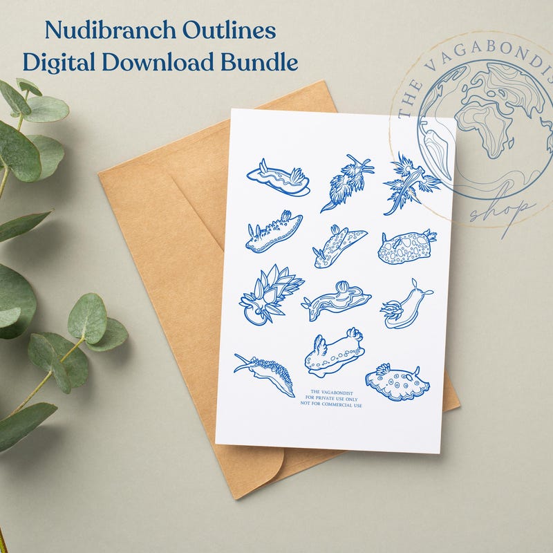 Nudibranch - Etsy