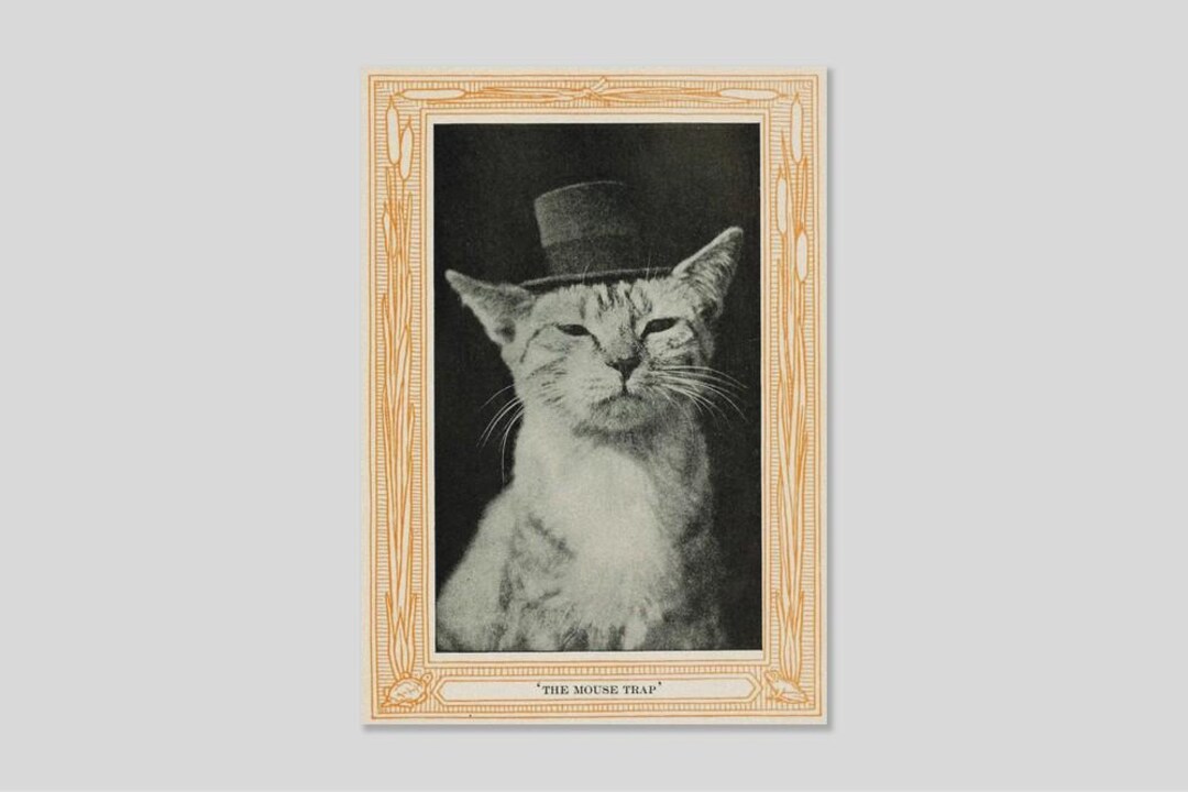Harry Whittier Frees the Mouse Trap Poster Vintage Cute Funny Cat Print ...