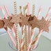 Rose Gold Blush Pink Paper Straws Birthday Party Straws Baby Shower ...