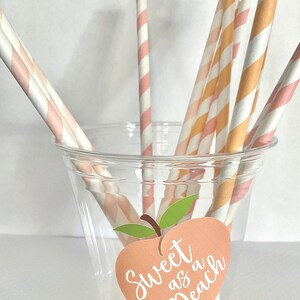Sweet as a Peach Plastic Disposable Cups Favor Party Cup Sweet as a ...