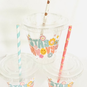 Stay Groovy Plastic Disposable Drink Cups Favor Cup Birthday 12 Oz. 70 ...
