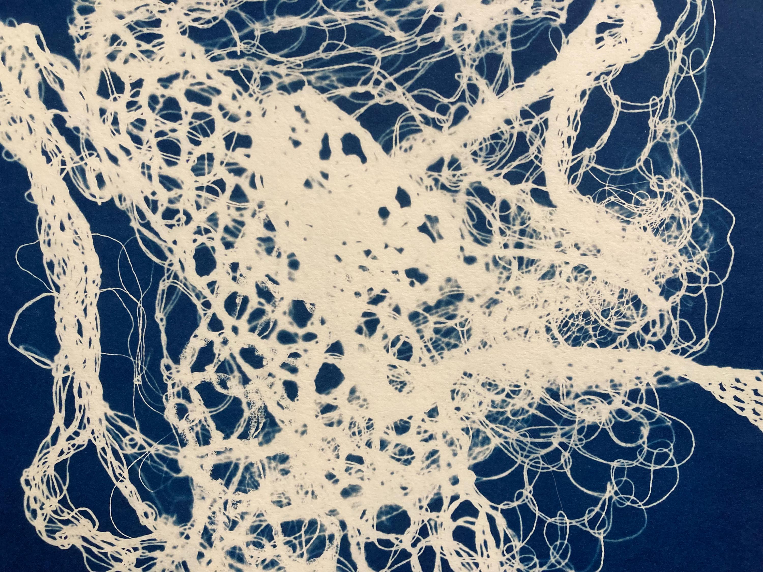 Cyanotype 2 - Etsy