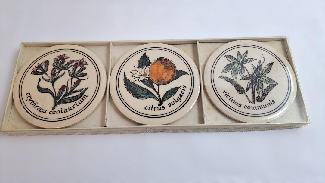 Vintage Botanical Wall Plates Set of 3 – Porcelain Herb Plates – Mid ...