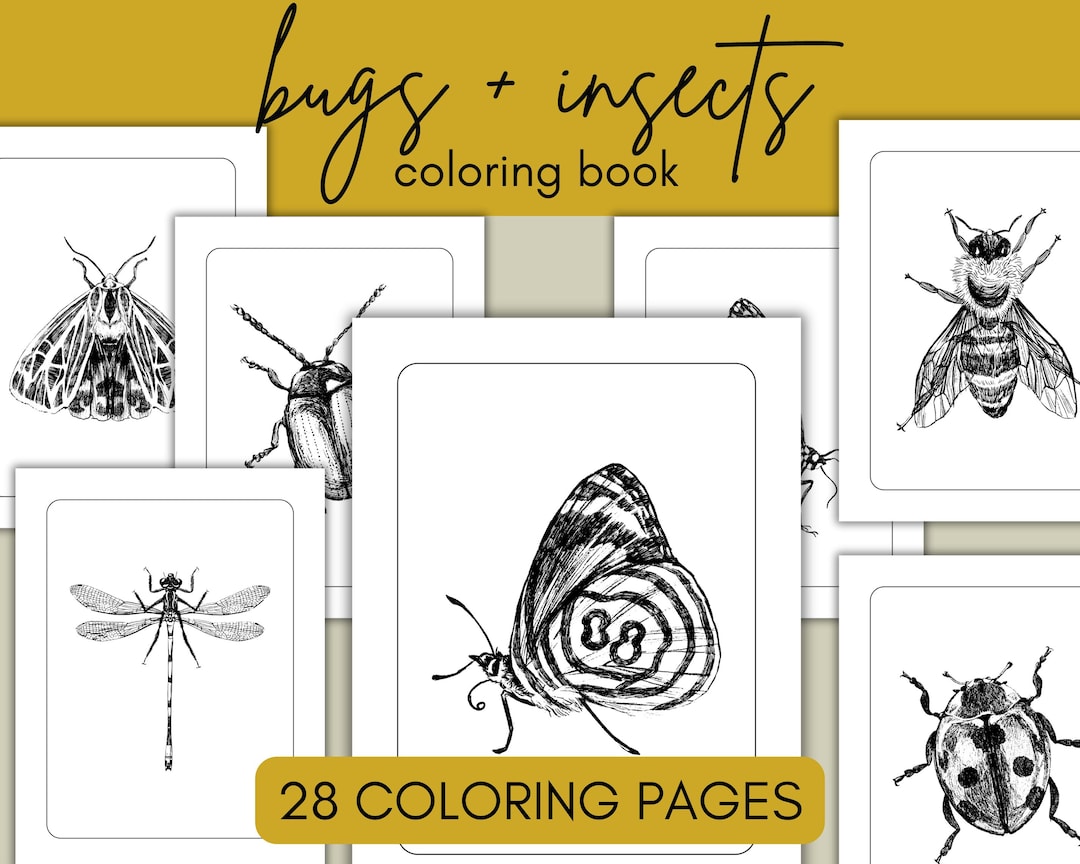 Insect Coloring Pages, Bugs and Insects Study (PDF) - Etsy