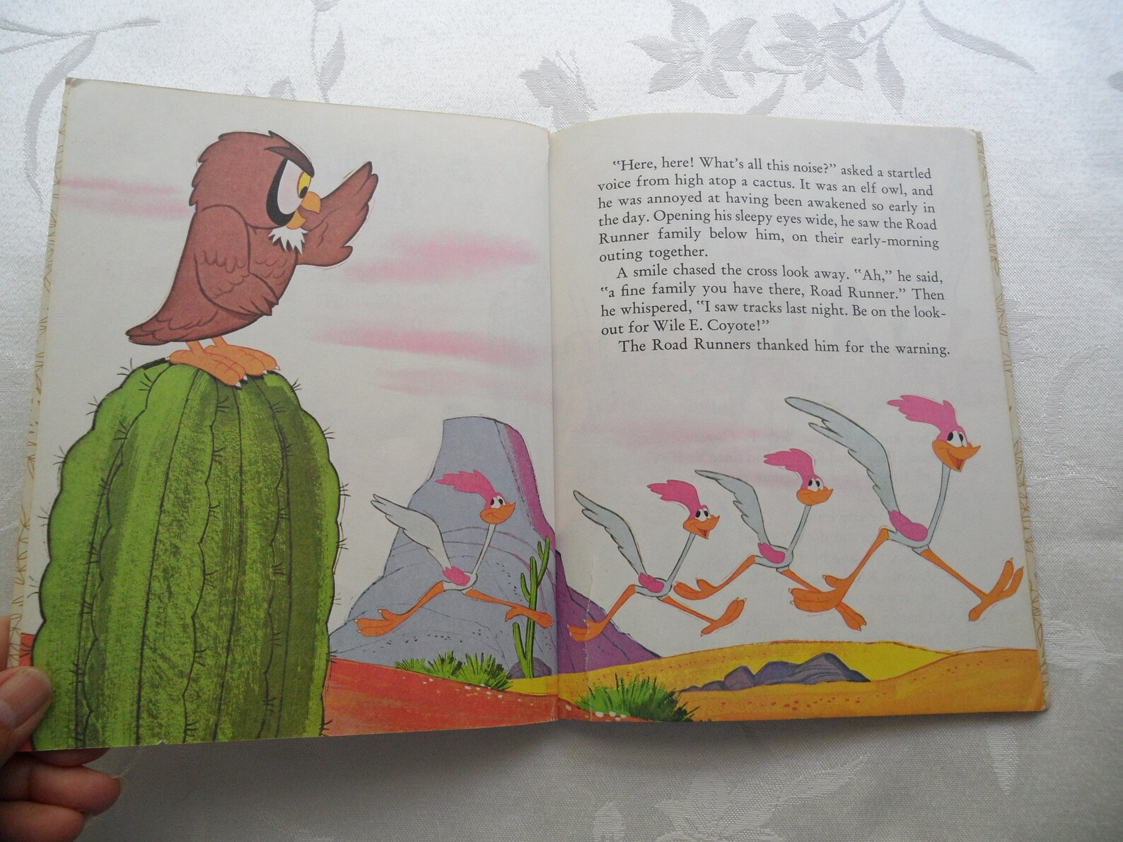 The Road Runner A Very Scary Lesson A Little Golden Book 1970s - Etsy