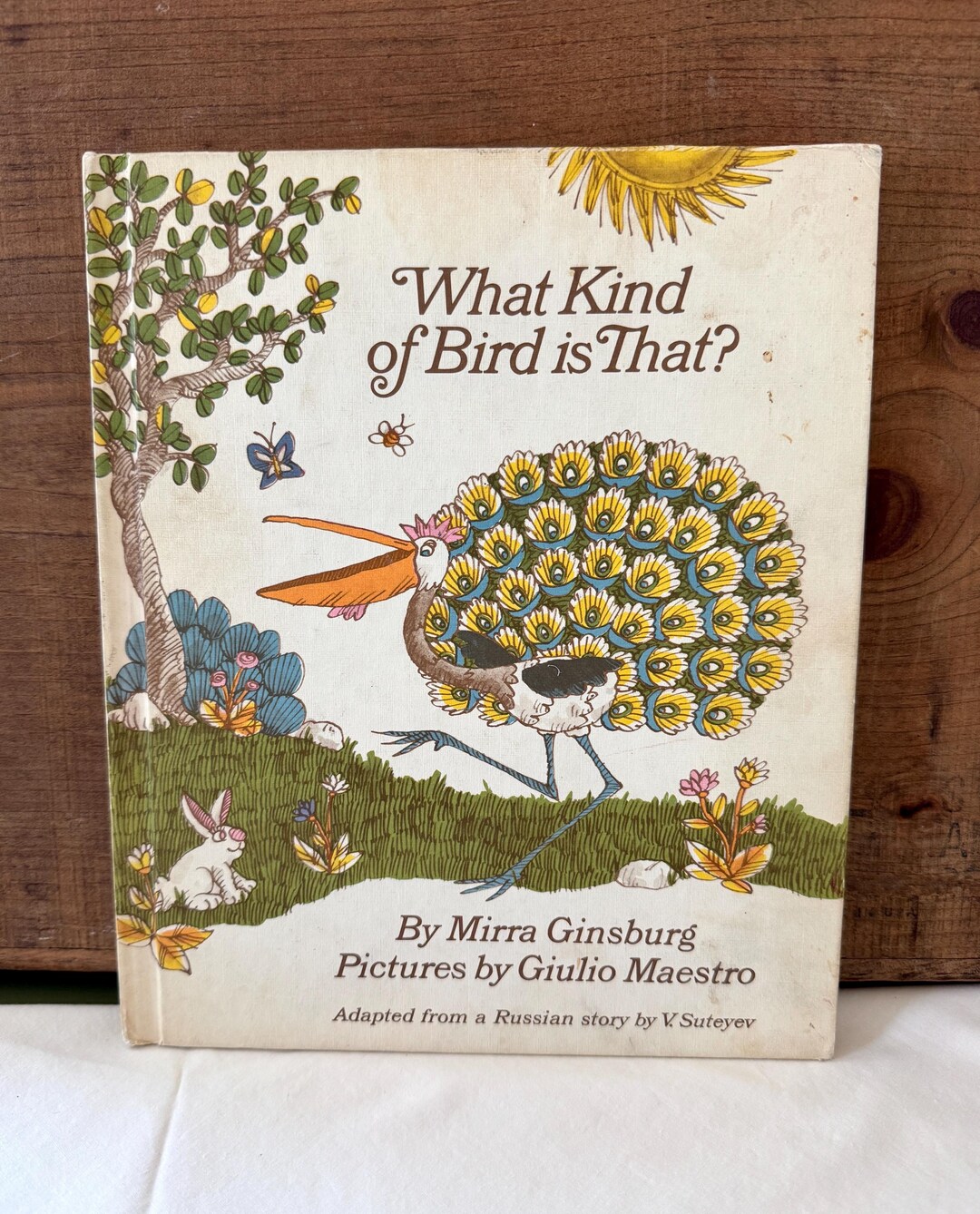 What Kind of Bird is That? by Mirra Ginsburg Pictures by Giulio Maestro ...