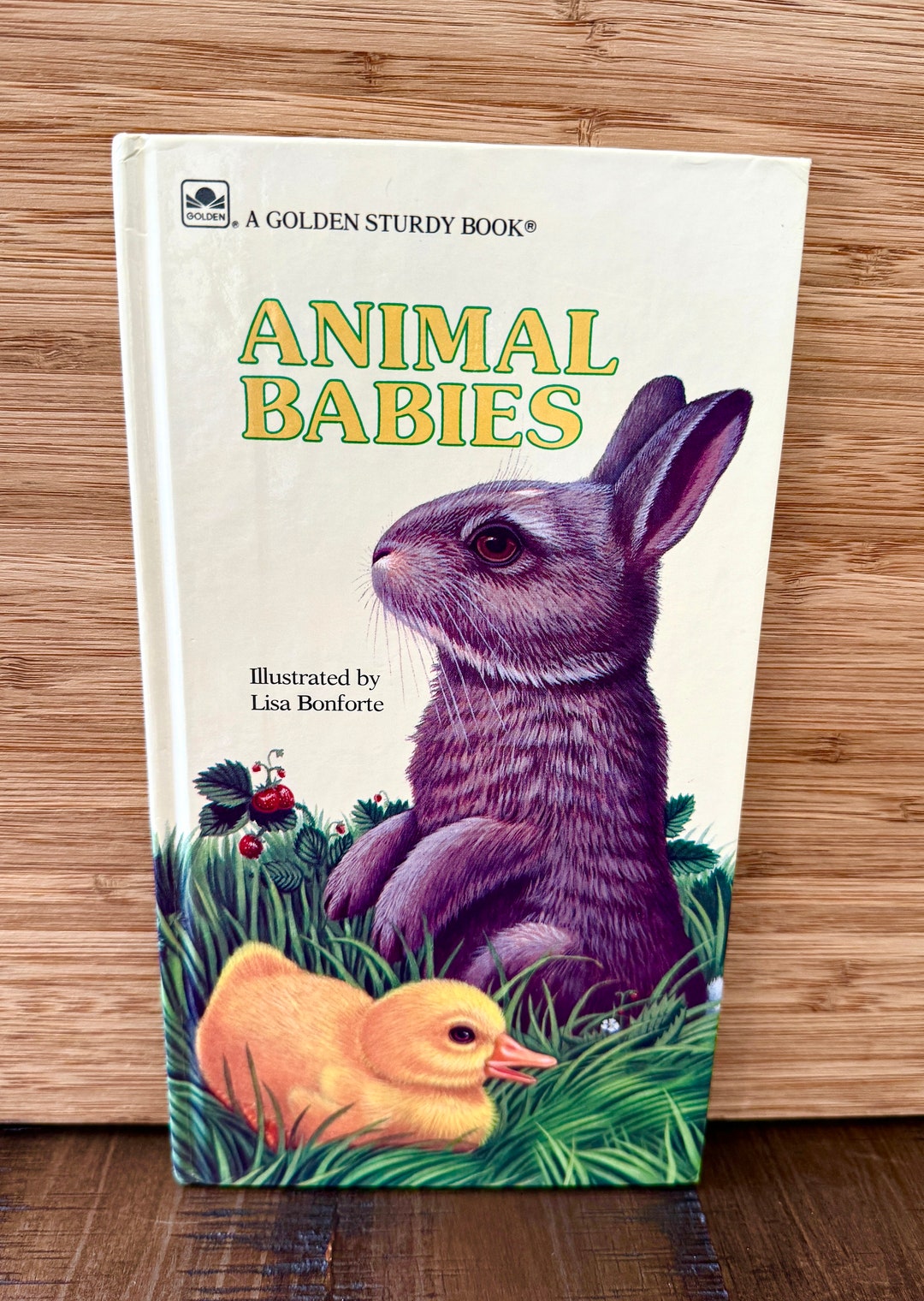 Animal Babies (golden Sturdy Book) Illustrated by Lisa Bonforte Board ...
