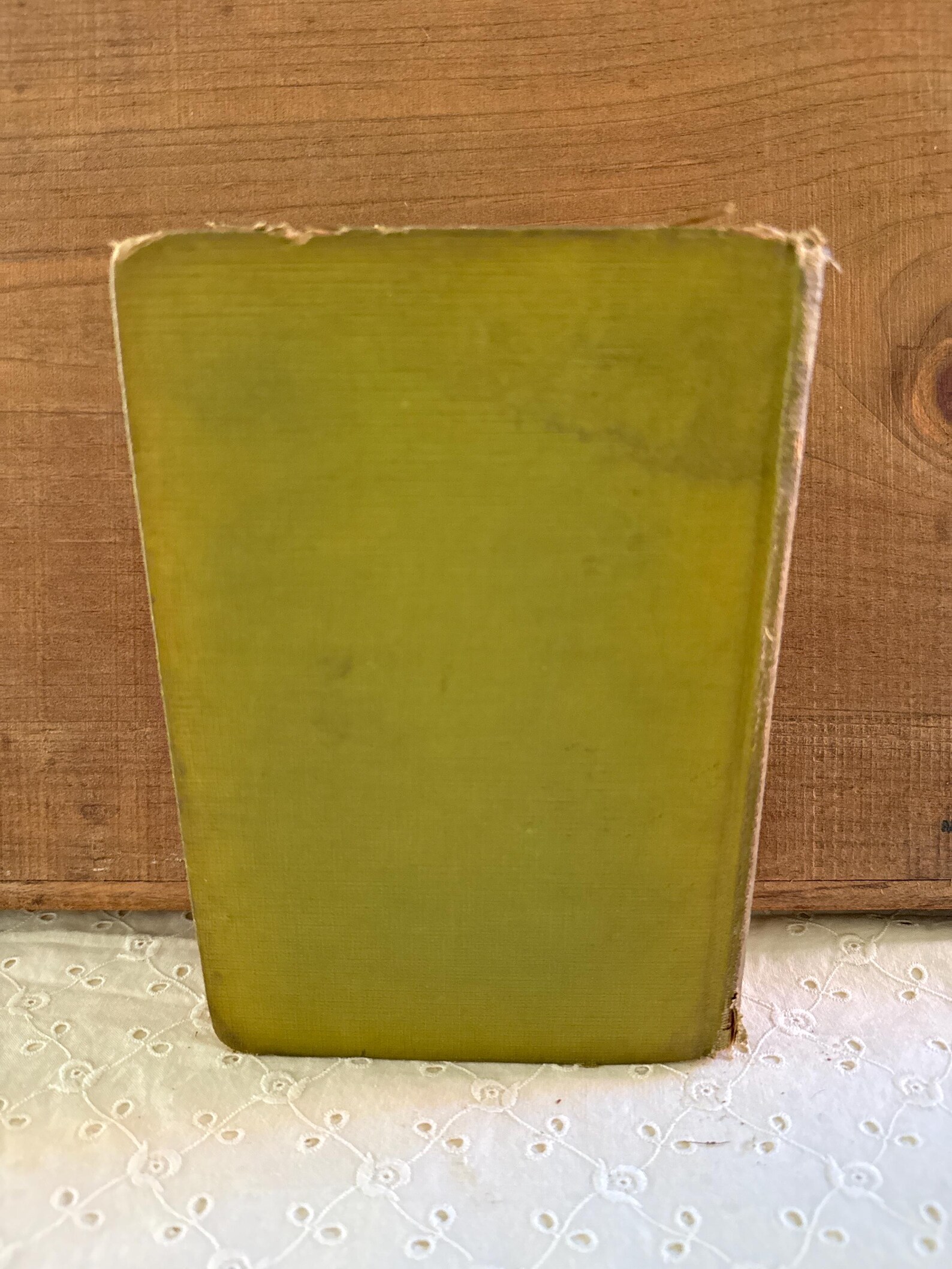 The Dim Lantern by Temple Bayley 1920s Hardcover - Etsy