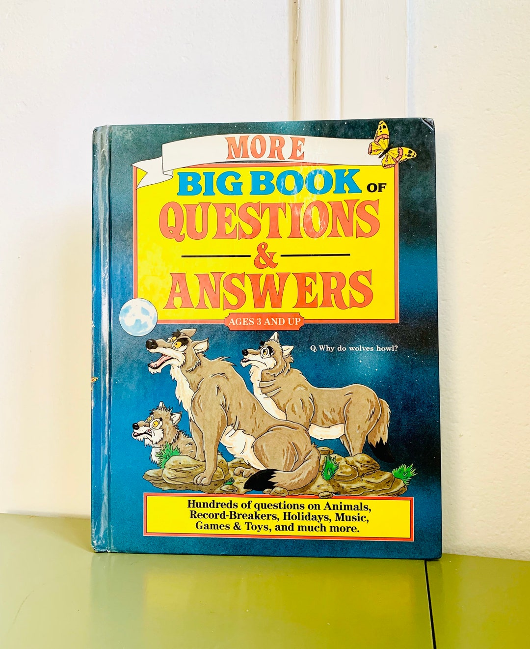 More Big Book of Questions and Answers Hardcover - Etsy
