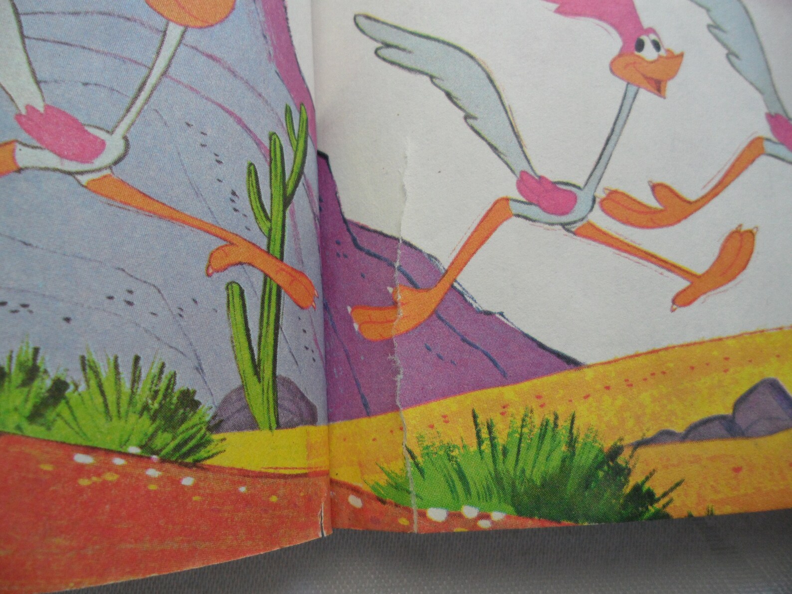 The Road Runner A Very Scary Lesson A Little Golden Book 1970s - Etsy