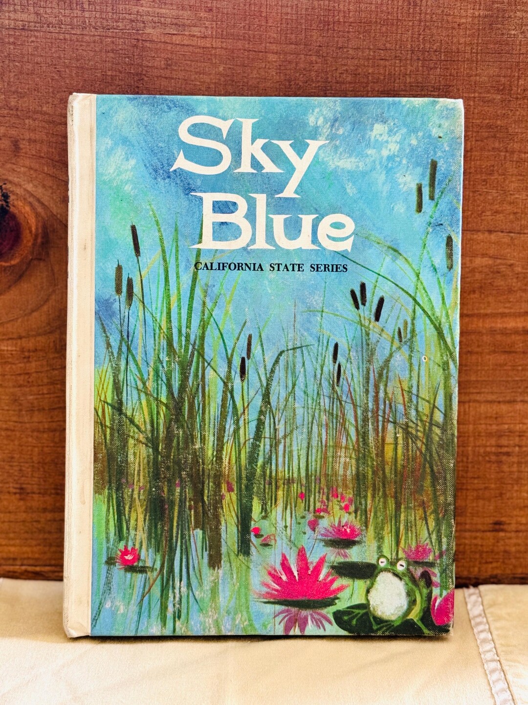 Sky Blue Book Caravan 1968 Witty Bebell Childrens Reading Education ...