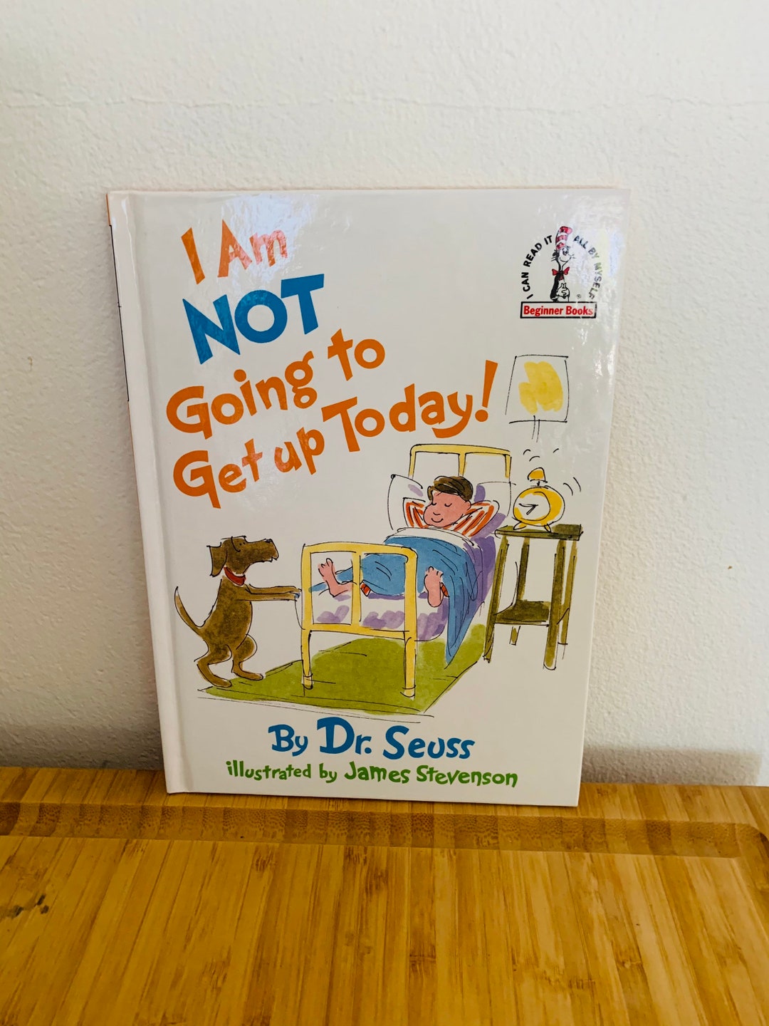 I Am Not Going to Get up Today by Dr. Seuss Hardcover - Etsy