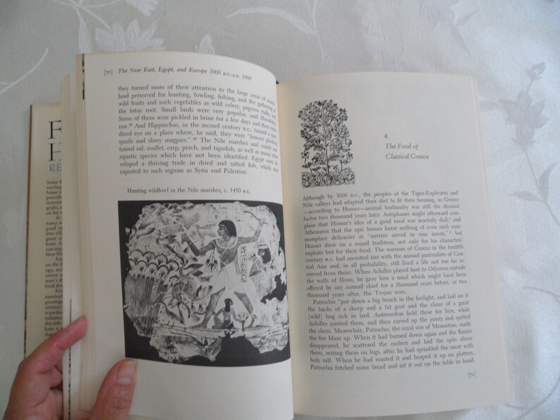 Food in History First Edition by Tannahill Reay Published by - Etsy