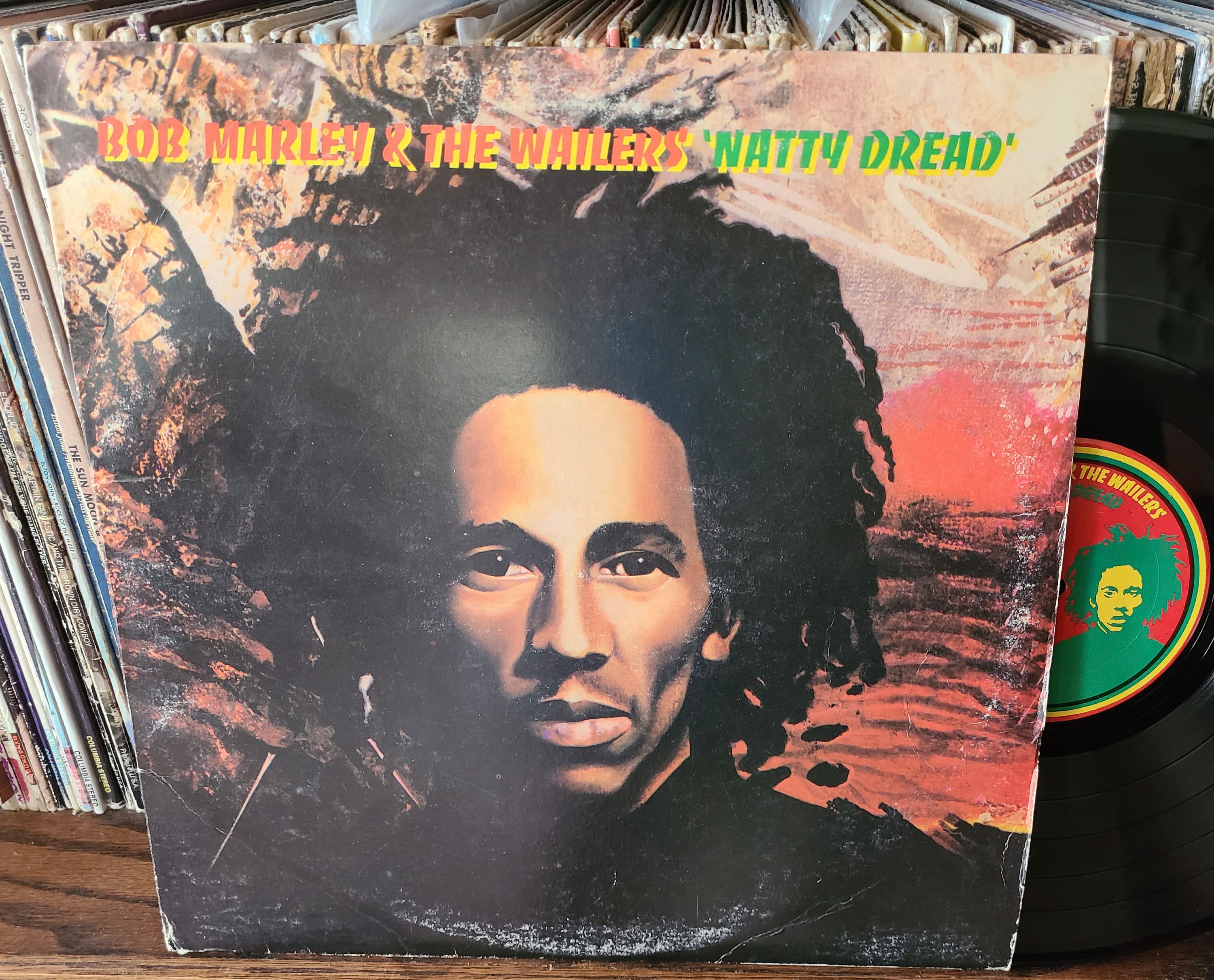 Bob Marley Natty Dread