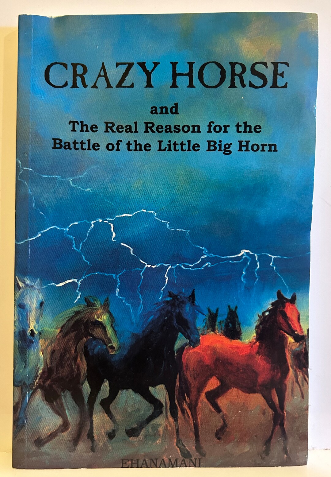 Crazy Horse and the Real Reason for the Battle of Big Horn - 2000 ...