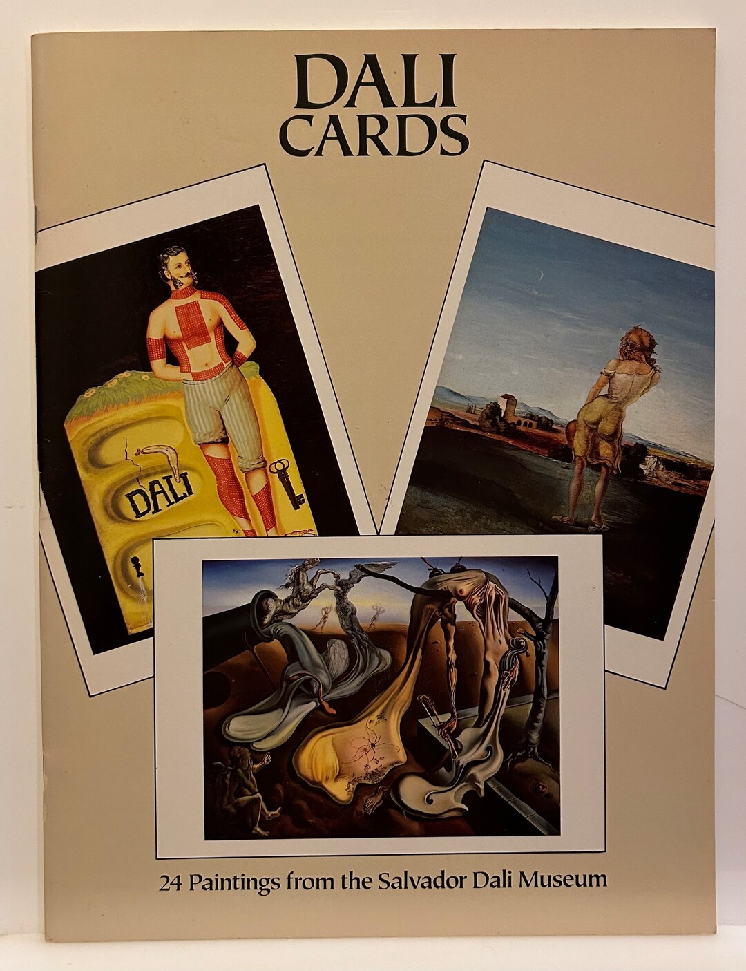 Salvador Dali Paintings Post Cards 1994 Vintage Book - Etsy