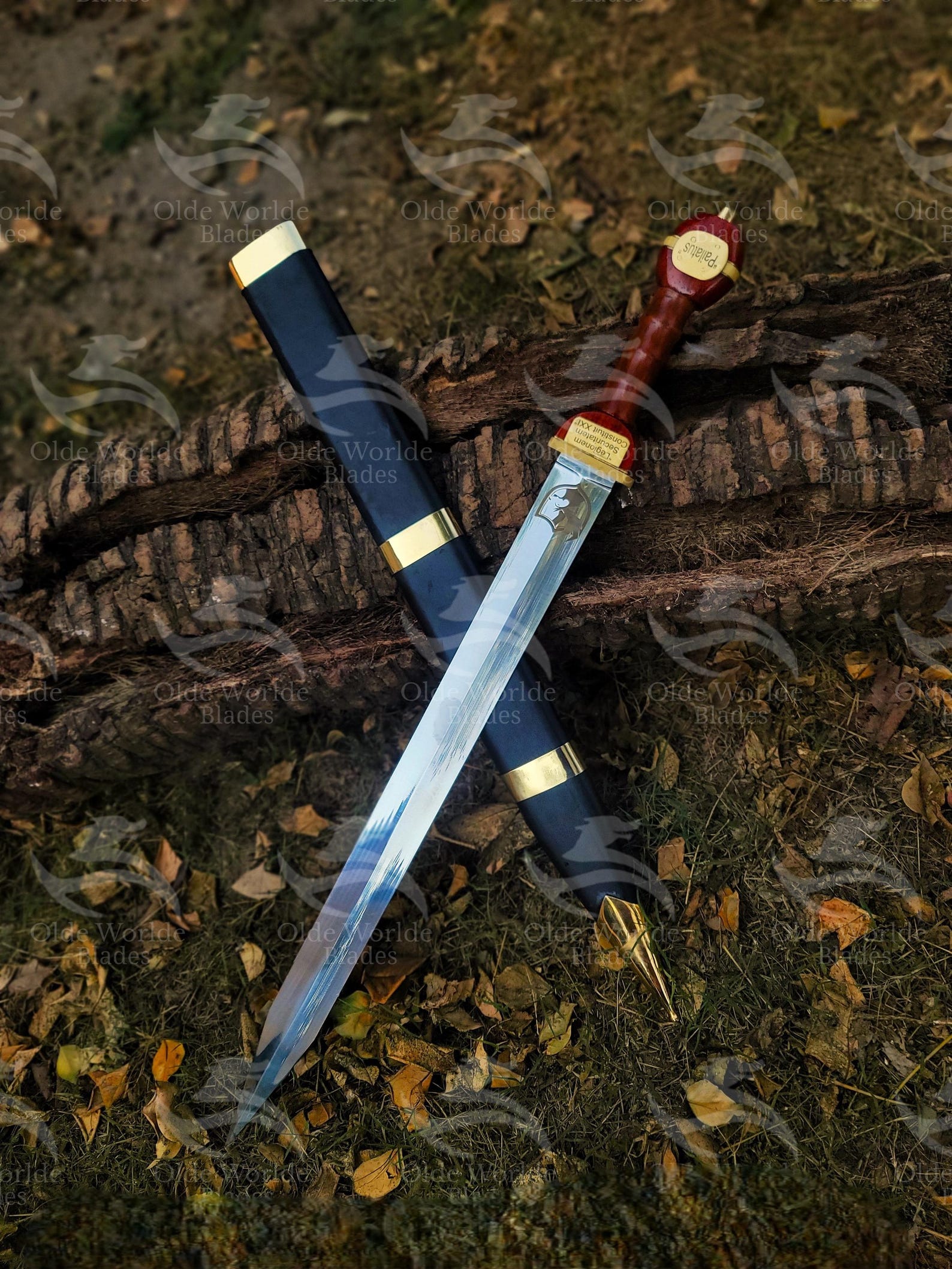 Carbon Steel Handmade Roman Sword for Warrior, Medieval Larp Viking ...