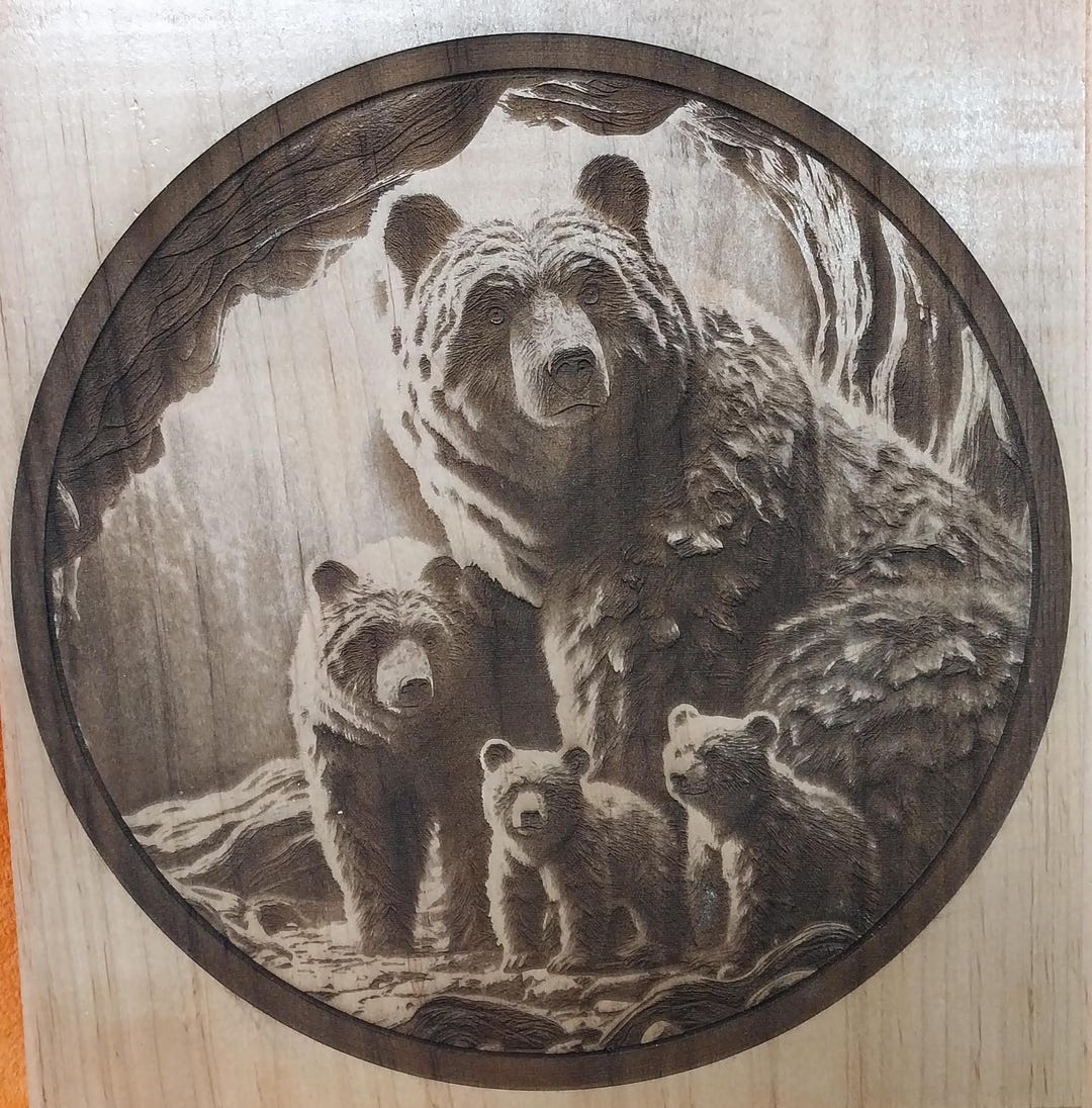 Engraved Black Bear With Cubs - Etsy