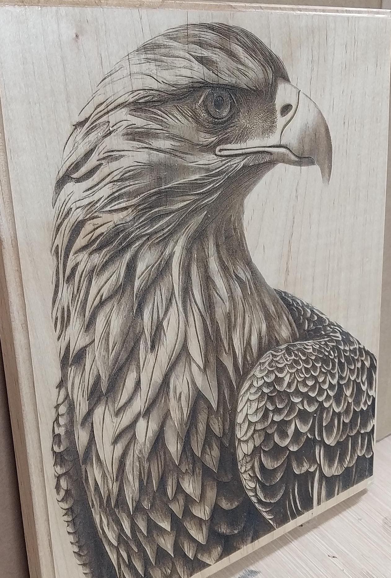 Hawk, Engraving, Wall Decor, Bird, Wood Art - Etsy