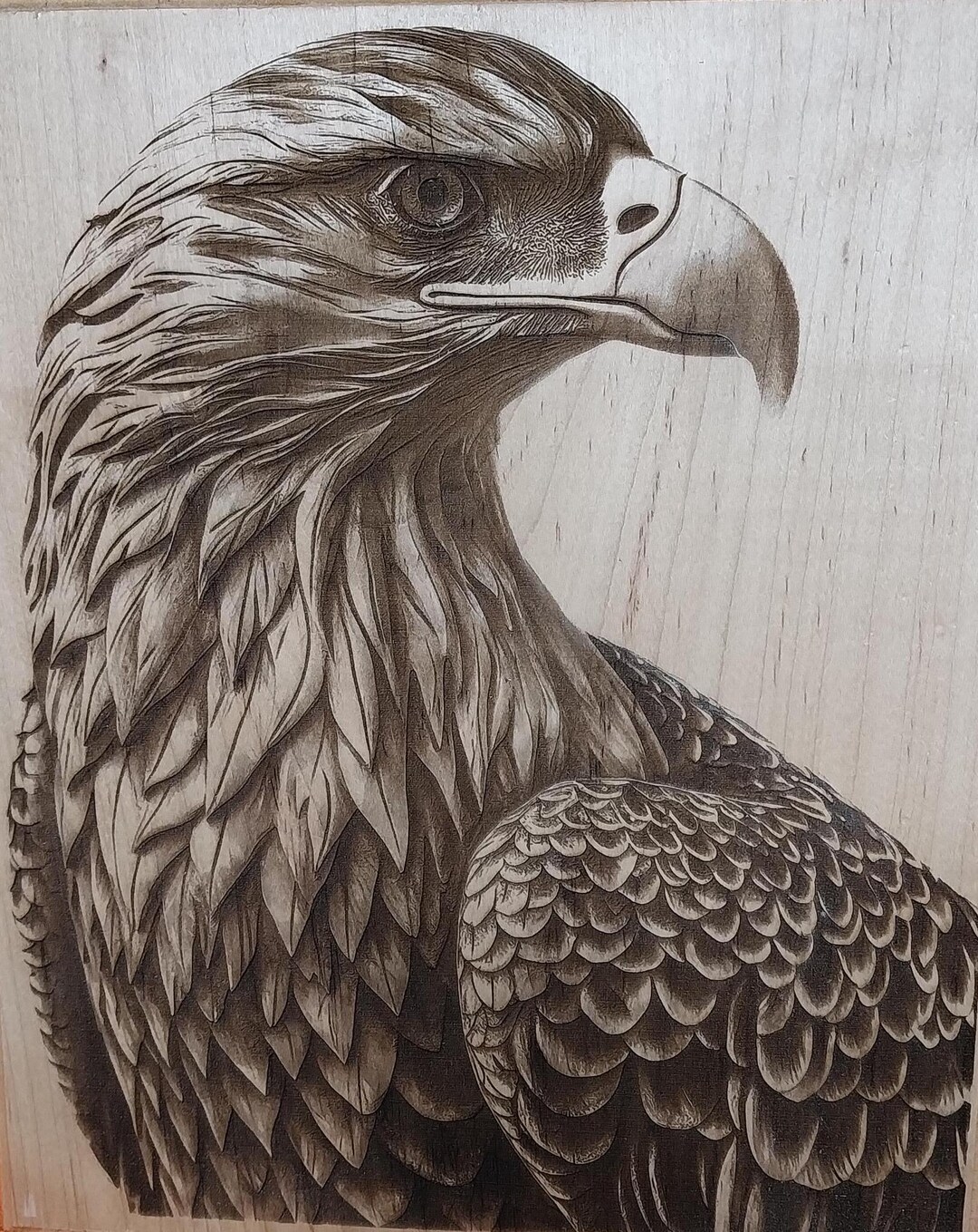 Hawk, Engraving, Wall Decor, Bird, Wood Art - Etsy