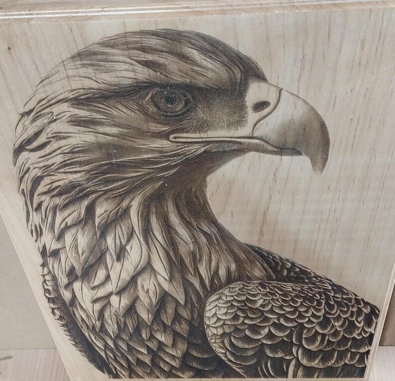Hawk, Engraving, Wall Decor, Bird, Wood Art - Etsy