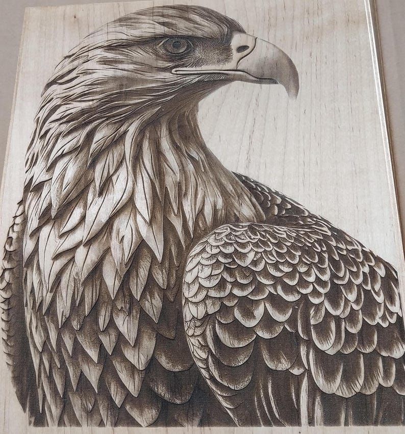 Hawk, Engraving, Wall Decor, Bird, Wood Art - Etsy