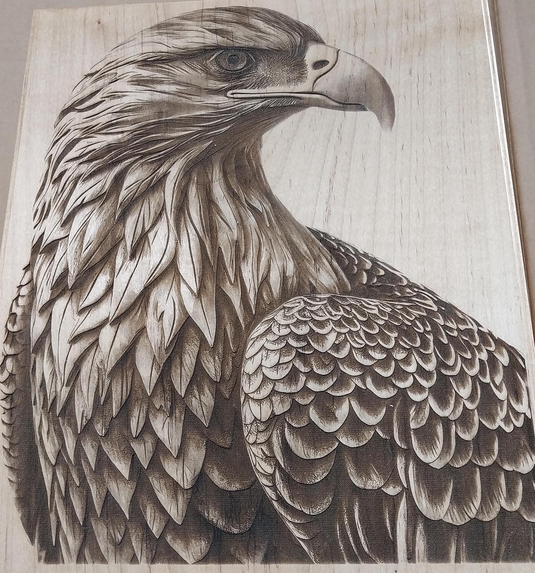 Hawk, Engraving, Wall Decor, Bird, Wood Art - Etsy