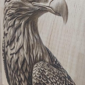 Hawk, Engraving, Wall Decor, Bird, Wood Art - Etsy