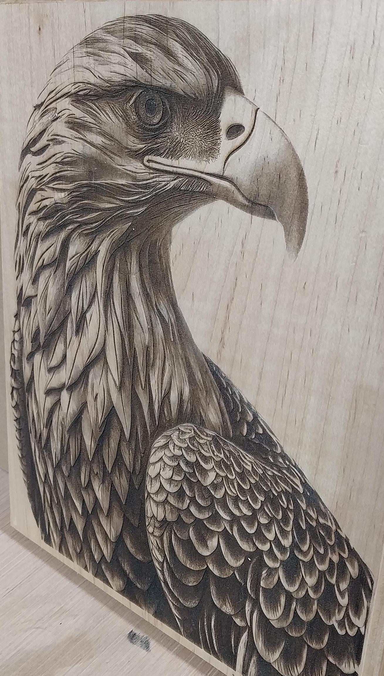 Hawk, Engraving, Wall Decor, Bird, Wood Art - Etsy