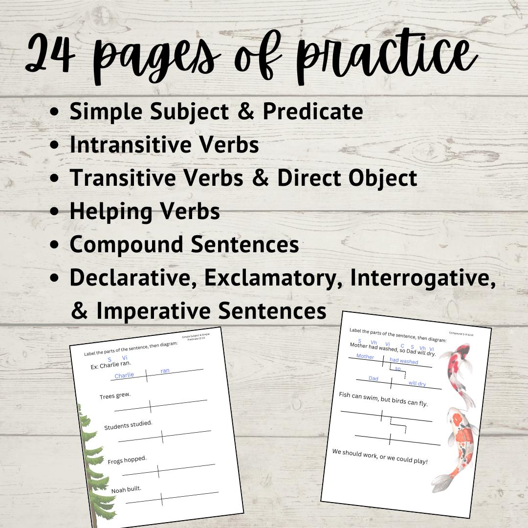 Sentence Diagramming Practice Sheets for Beginners - Etsy