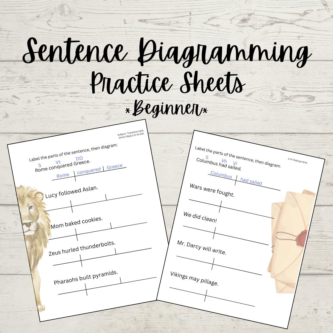 Sentence Diagramming Practice Sheets for Beginners - Etsy