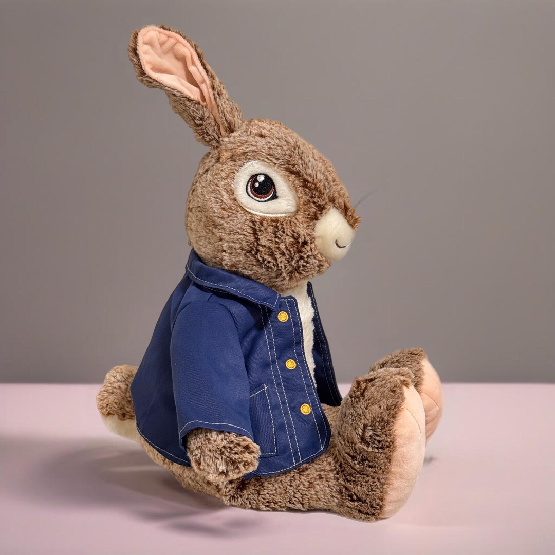 Peter Rabbit Plush Toy Dan Dee Collectors Choice, 20x8x6, Soft Stuffed ...