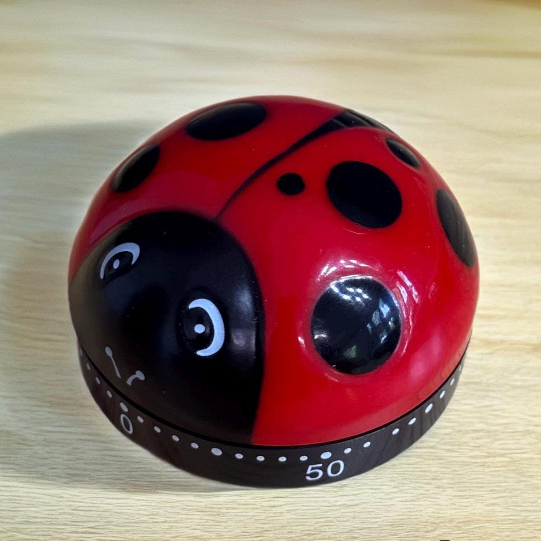 Vintage Kitchen Timer, Ladybug Shape Red Metal Timer, Cute Cooking ...