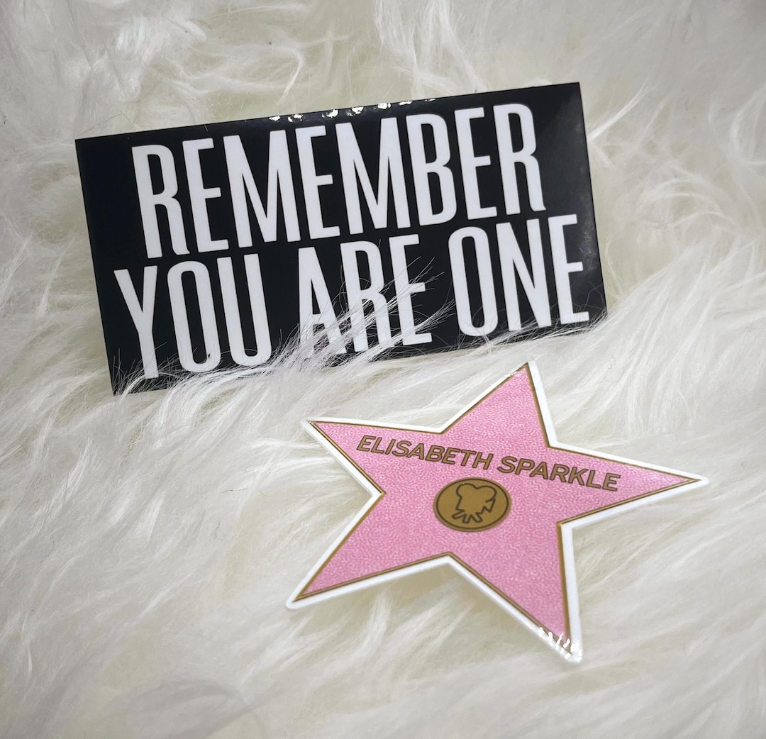 The Substance Vinyl Stickers Remember You Are One Elisabeth Sparkle ...