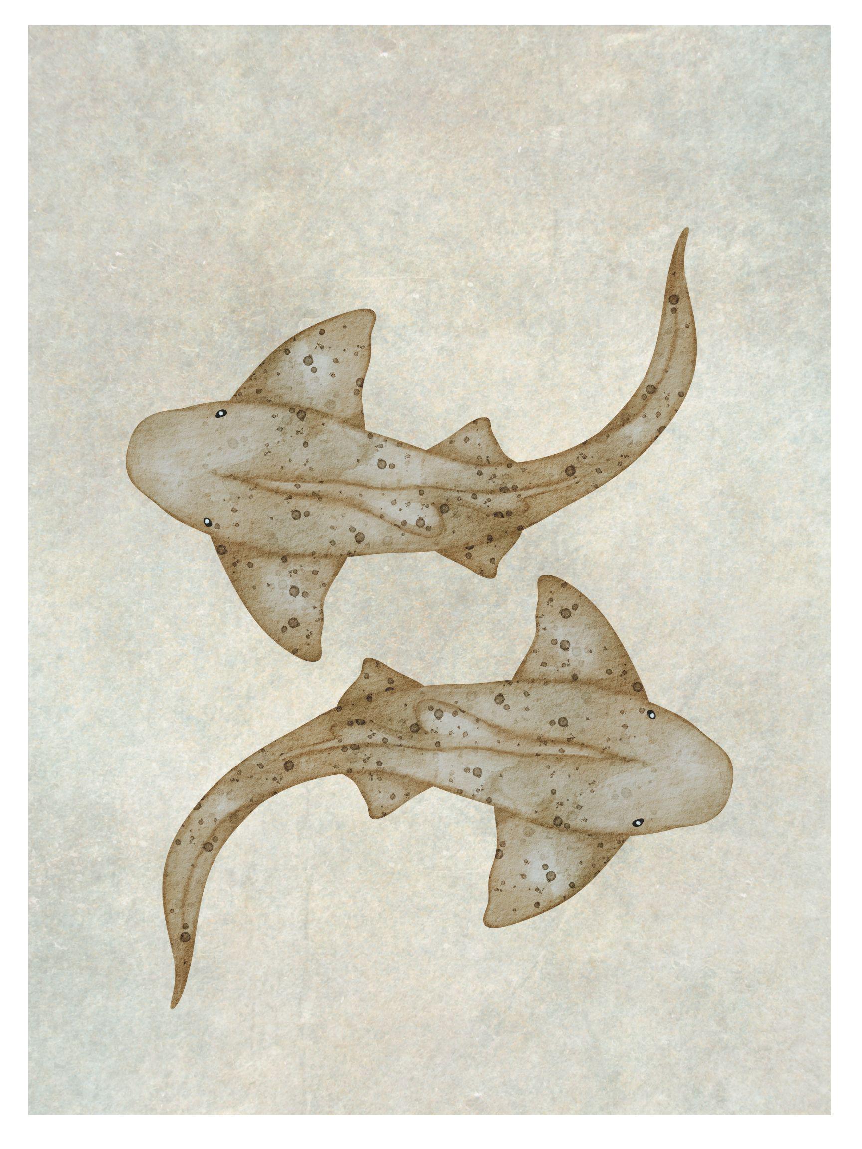 Fish Duo Wall Art, Contemporary Digital Print - Etsy