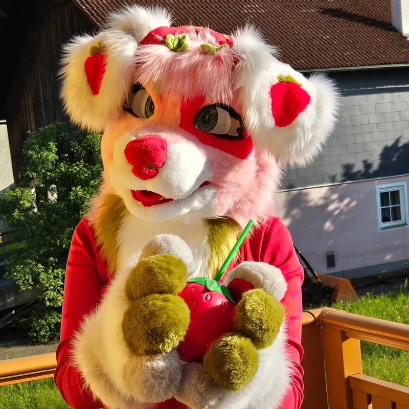 Full fursuit - Etsy México