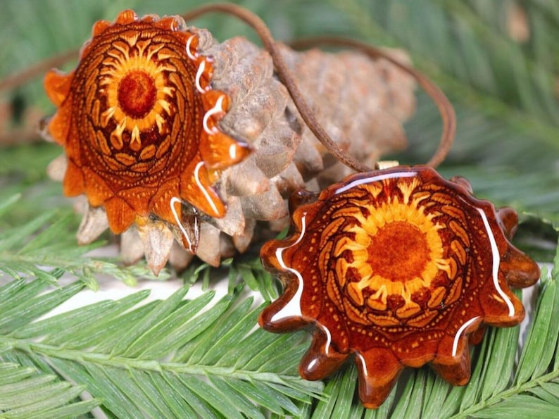 Third Eye Knobcone Pine Tree Seeds - Etsy