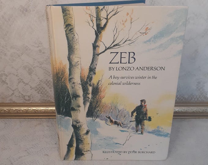 Vintage Children's Book: Zeb, Colonial Wilderness Adventure, 1966 ...