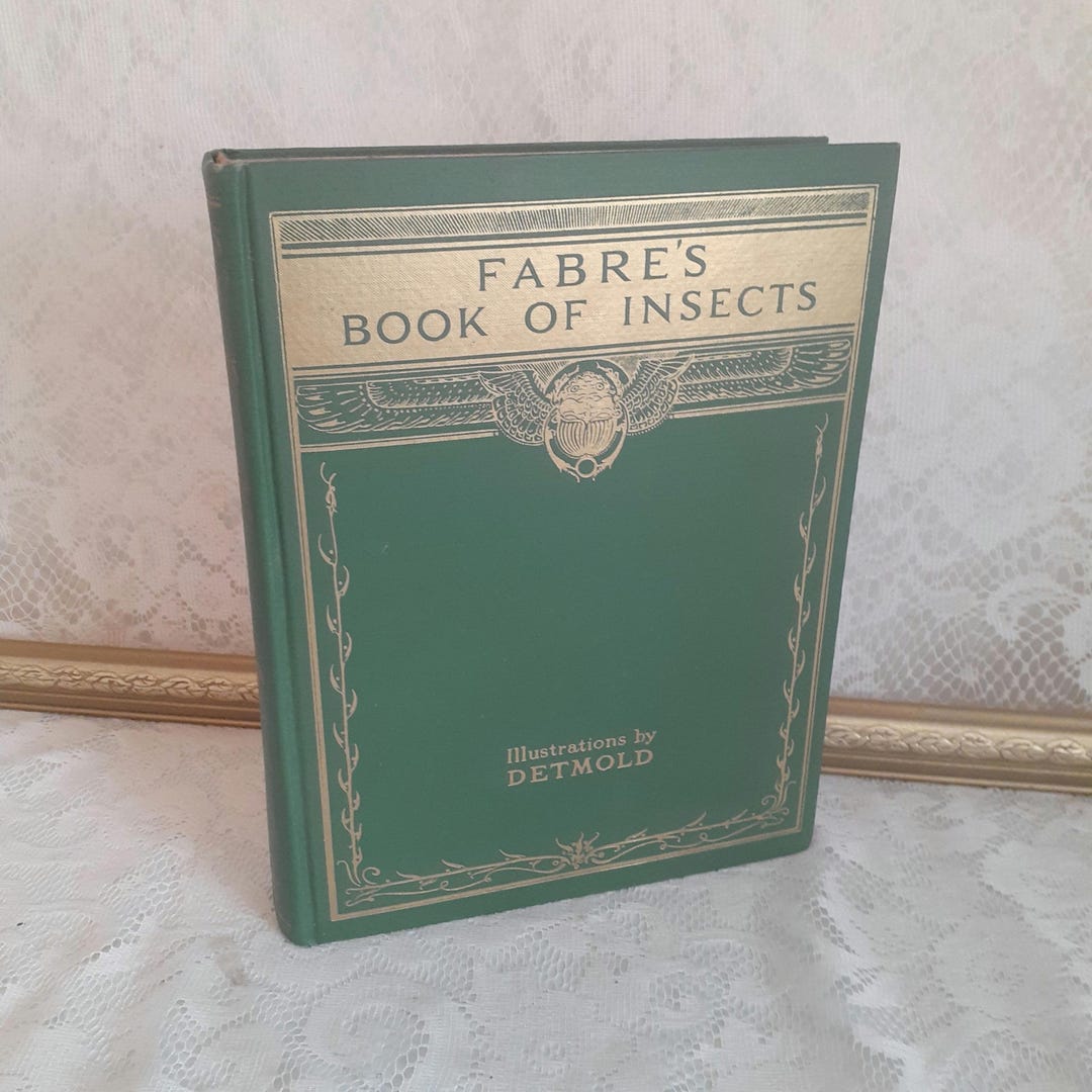 Fabre's Book of Insects by Mrs Rodolph Stawell, Illustrated by EJ ...