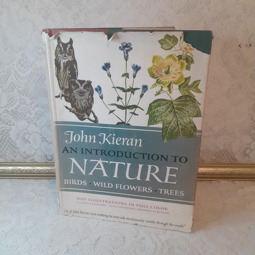 Vintage Nature Book, an Introduction to Nature: Birds, Wildflowers ...