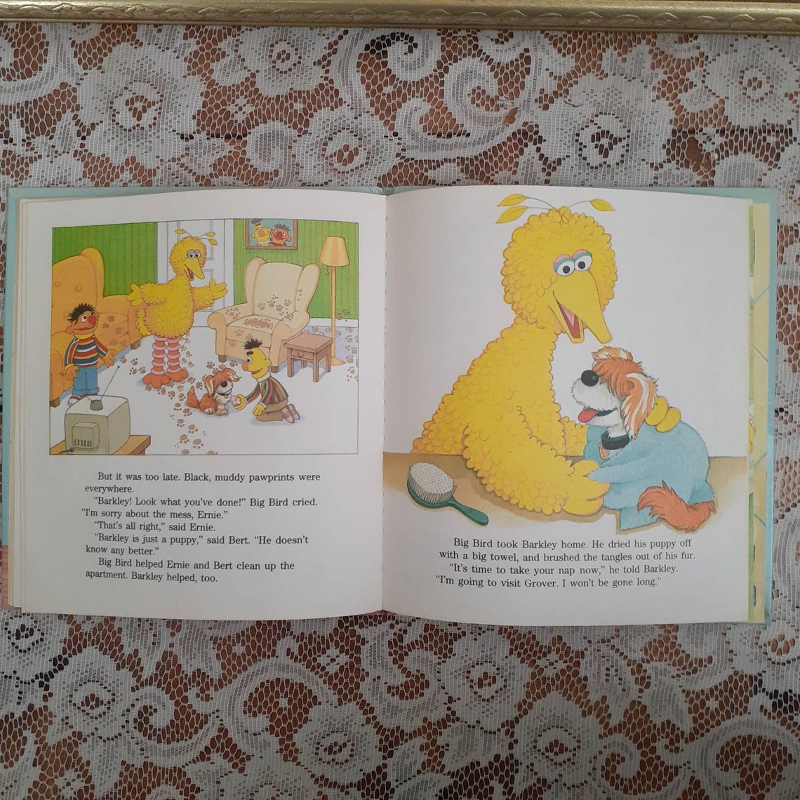 A Bird S Best Friend Vintage Sesame Street Book Etsy