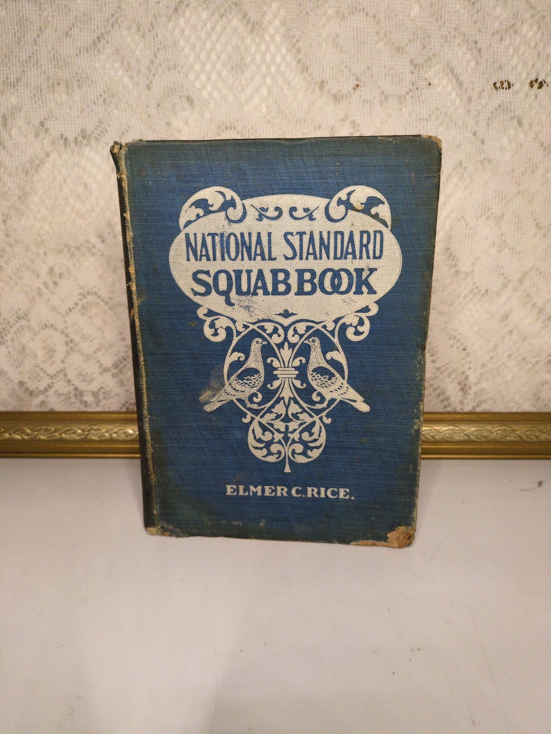 The National Standard Squab Book by Elmer C. Rice, Vintage 1908 ...