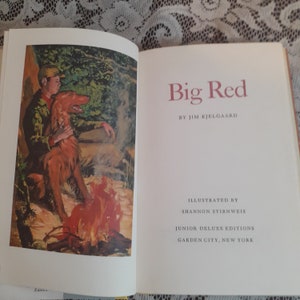 Big Red by Jim Kjelgaard, Vintage 1966 Hardcover Children's Dog Chapter ...